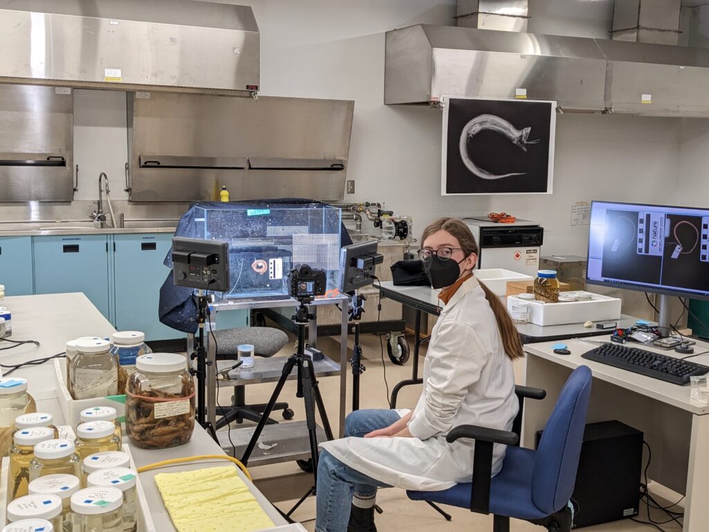 Still Life - Canadian Museum of Nature