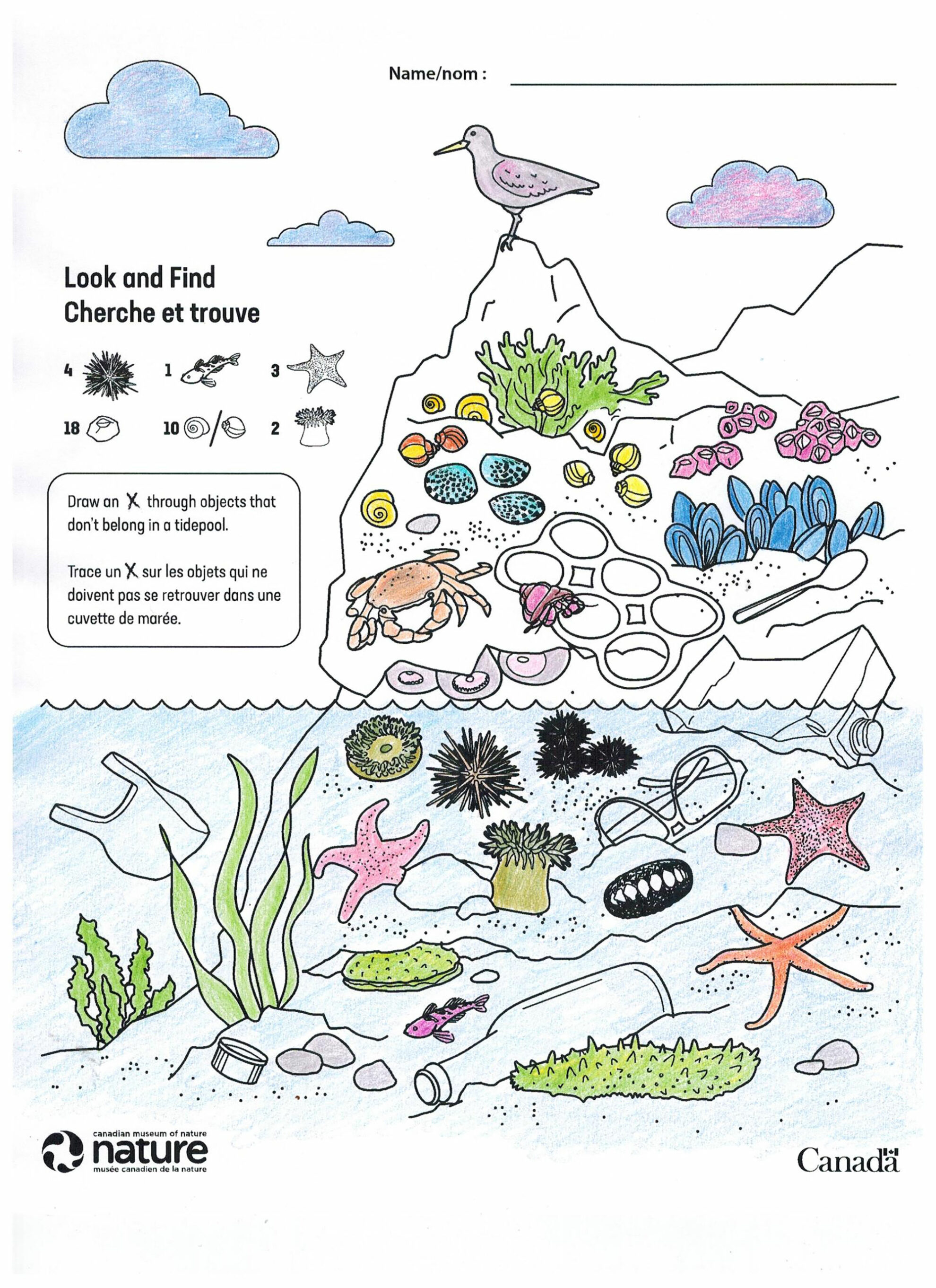 Activities - Canadian Museum of Nature