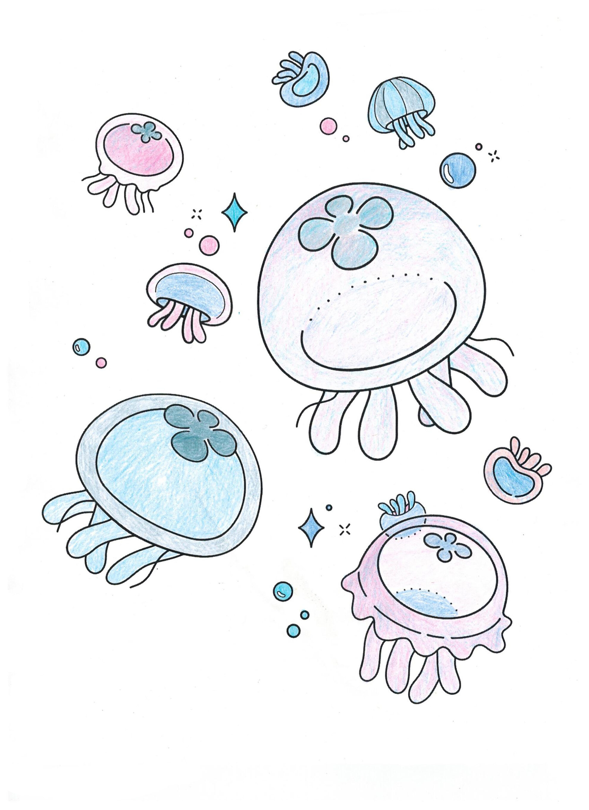 Moon Jelly - Canadian Museum of Nature