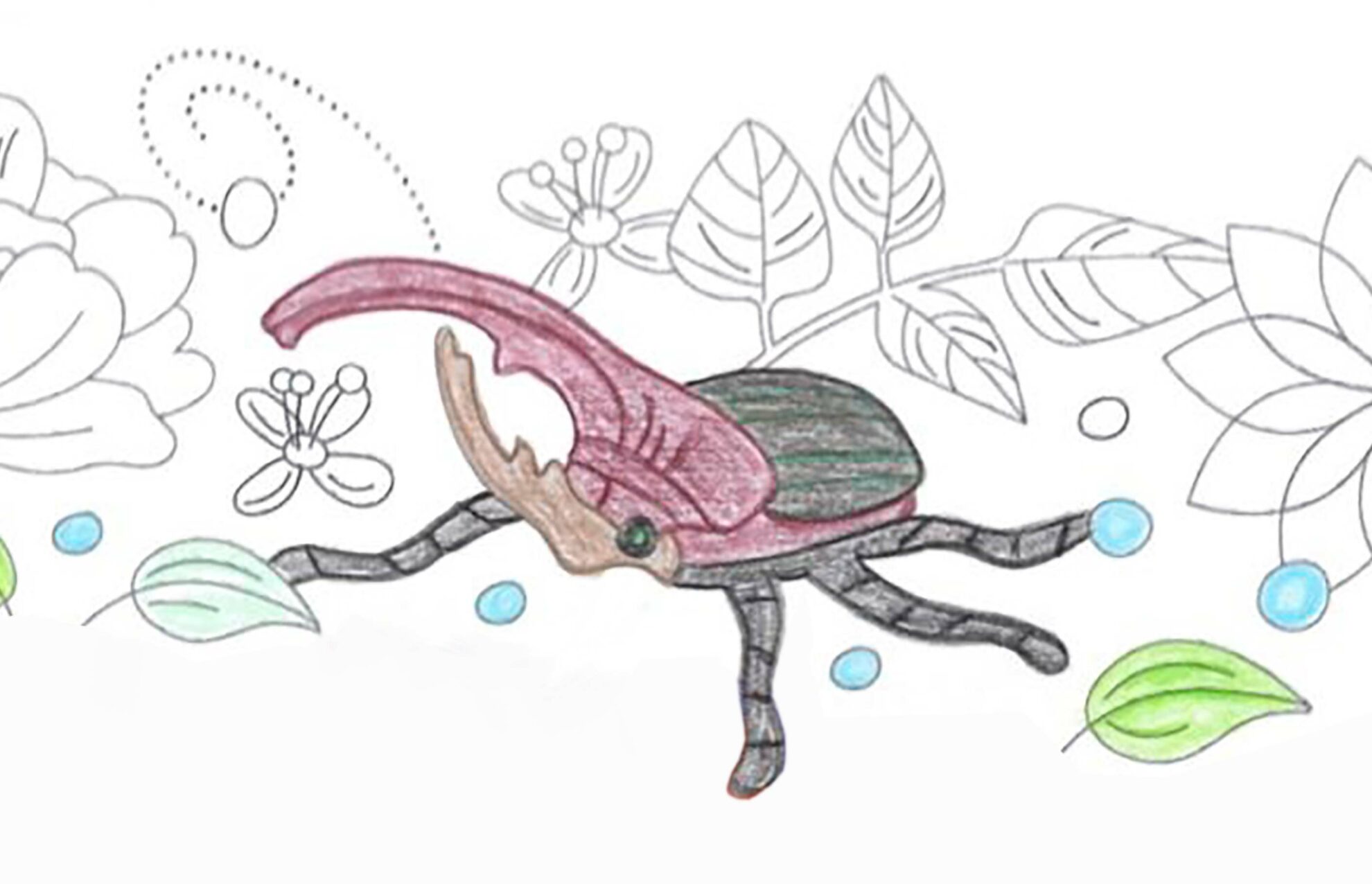 Colouring - Canadian Museum of Nature