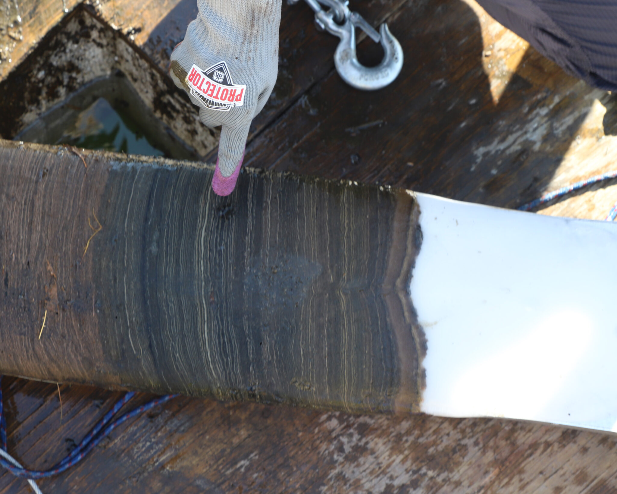 A deep dive into the Anthropocene - Canadian Museum of Nature