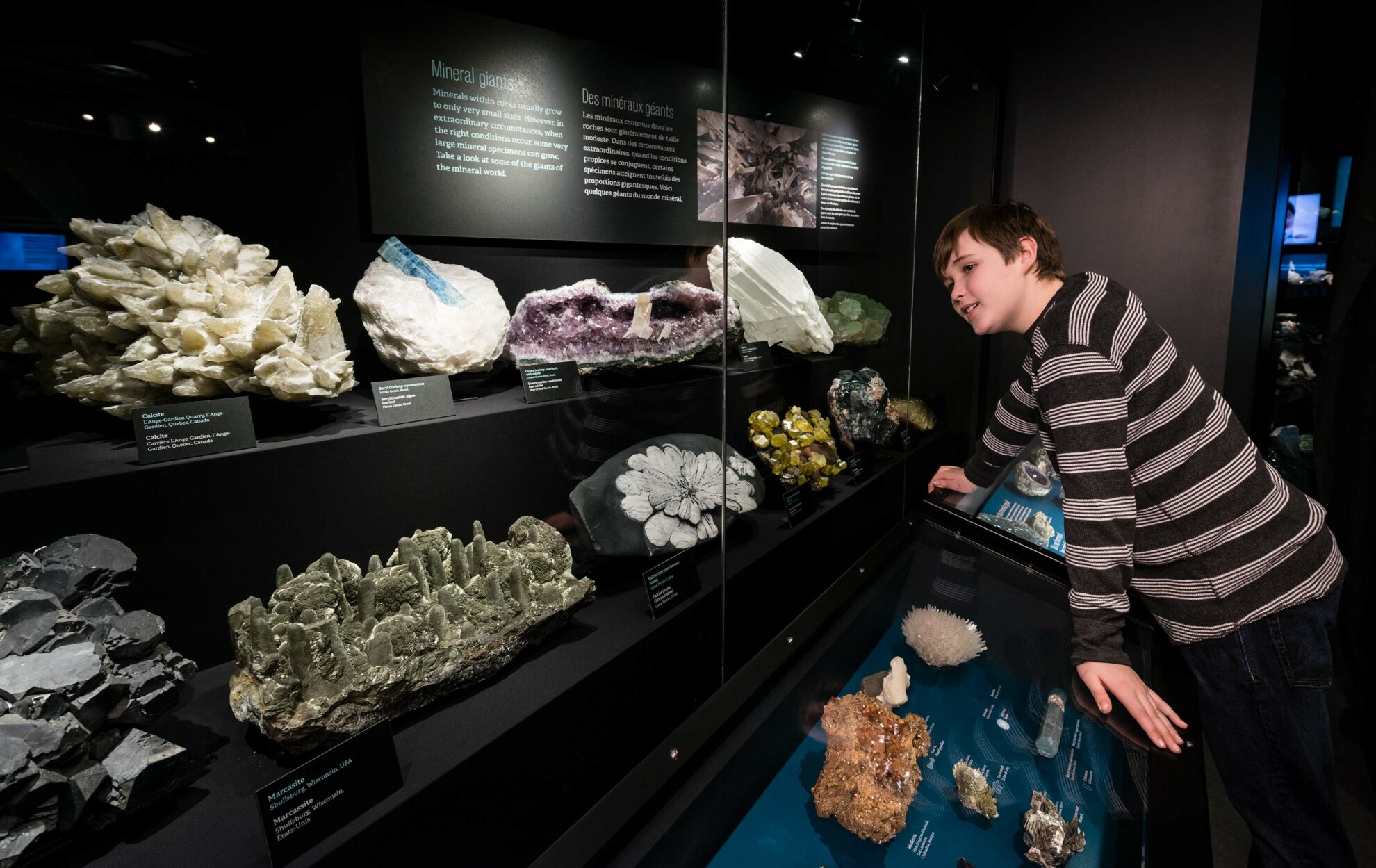 What's On - Canadian Museum of Nature