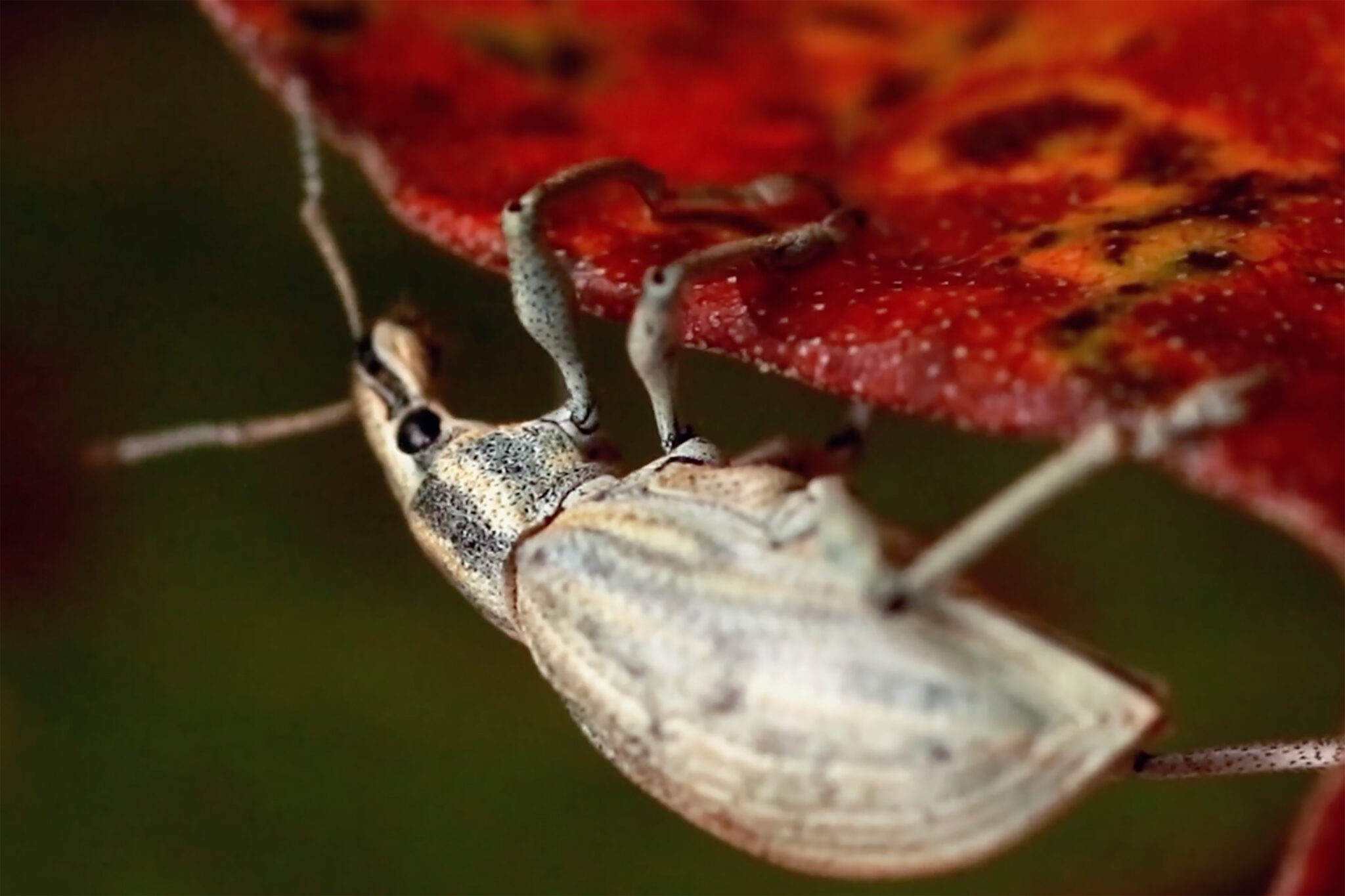 The Beaty Centre for Species Discovery - Canadian Museum of Nature