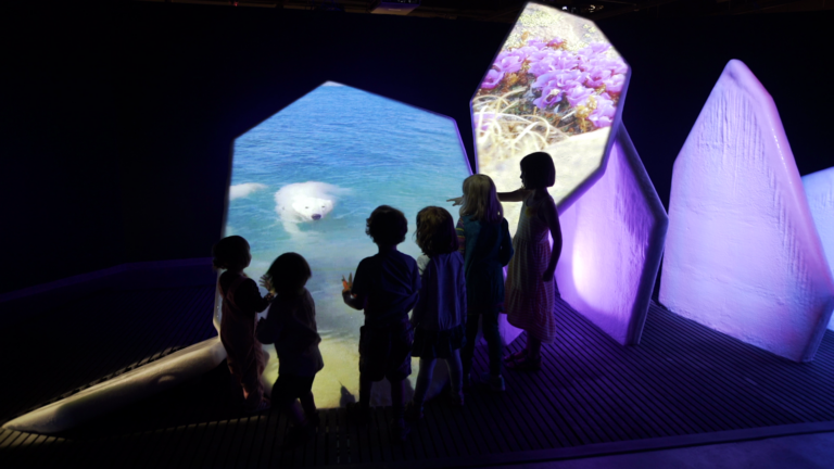 Canadian Museum of Nature