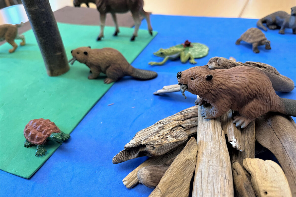 For Educators - Canadian Museum of Nature