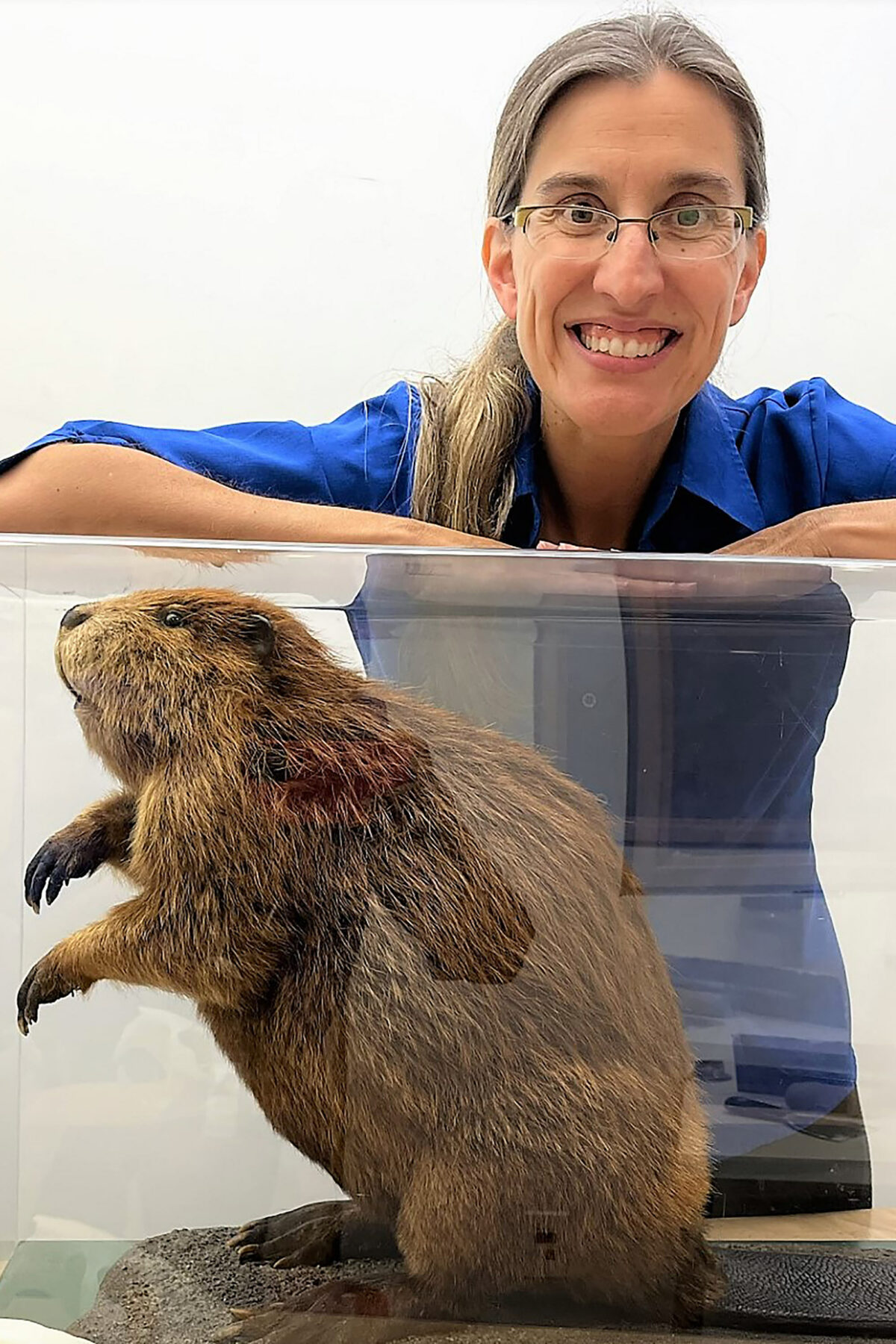 Billy the Beaver's Natural Environment—On-Site School Workshop ...