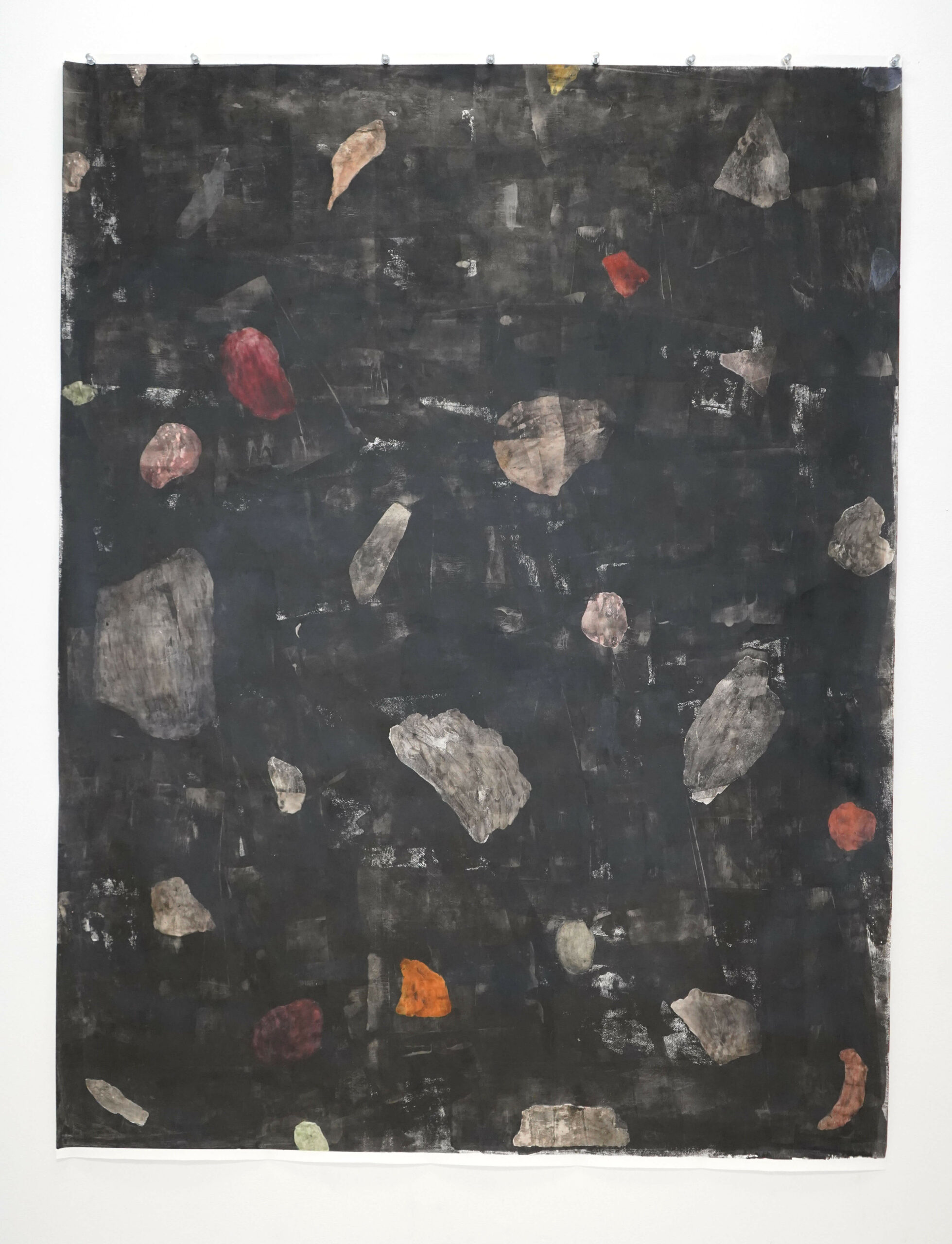 Connecting through the Collection - Canadian Museum of Nature