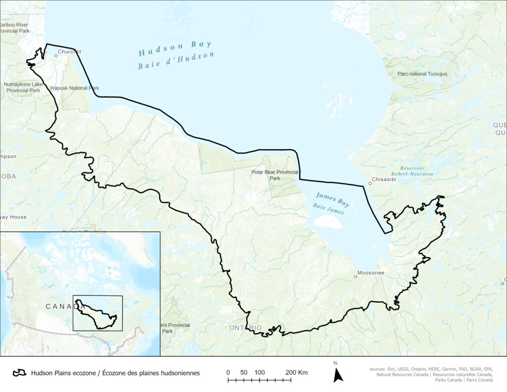 Boldly going further into the Zooniverse - Canadian Museum of Nature
