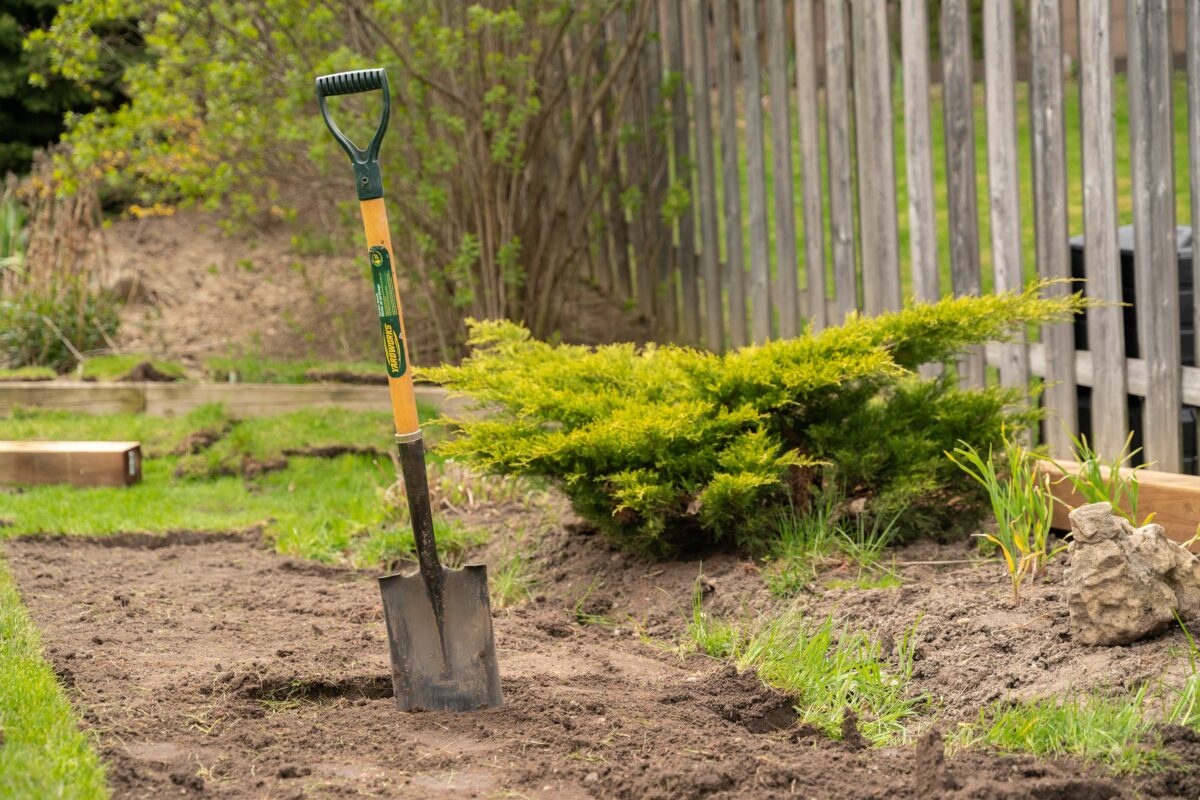 Create a Native-Plant Garden - Canadian Museum of Nature
