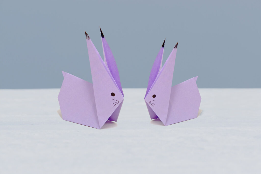 Activities - Canadian Museum of Nature