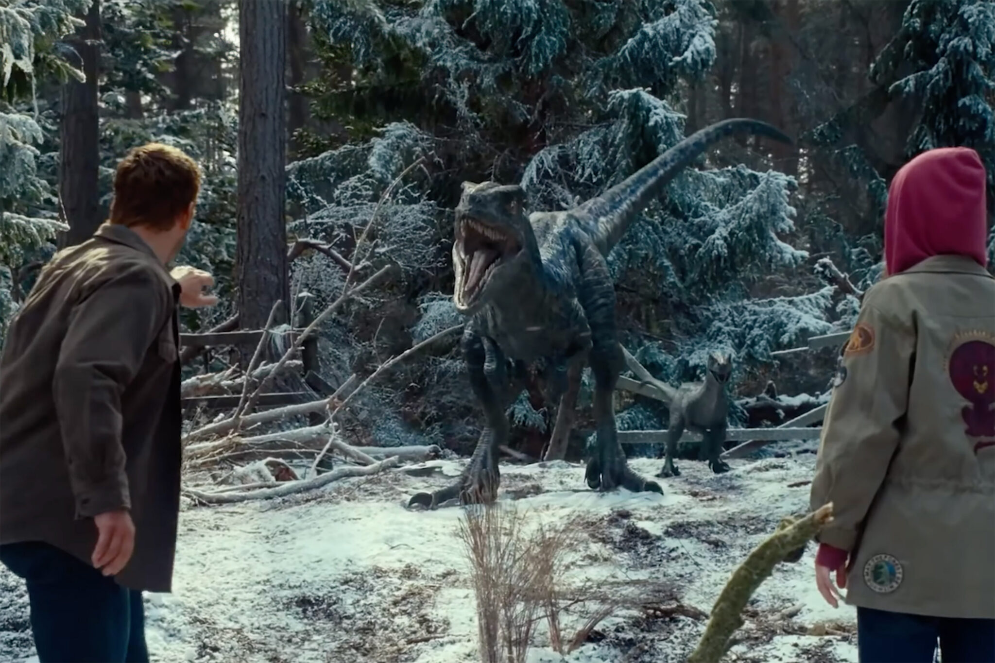 Dinosaurs - Canadian Museum of Nature