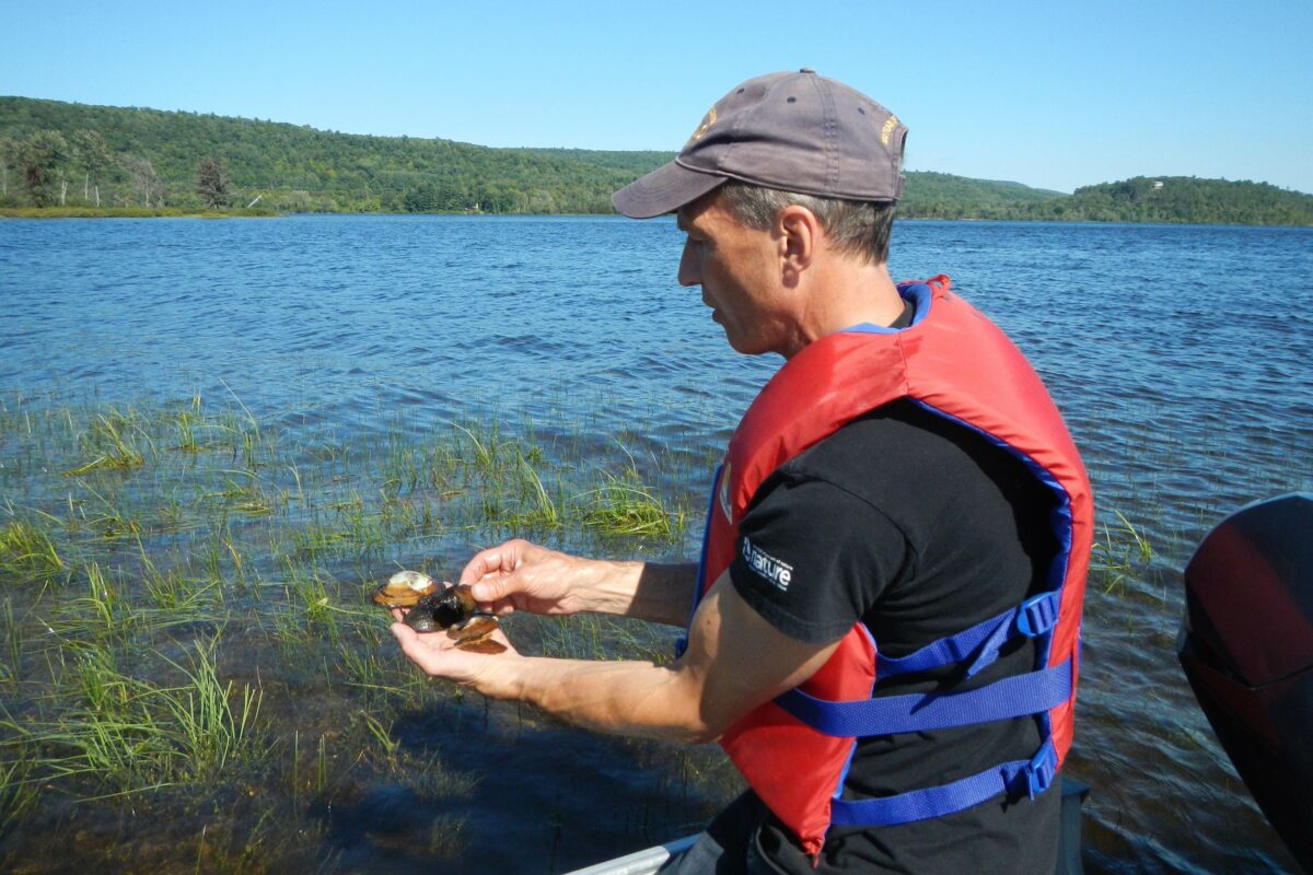 The rocks in fishes’ heads tell amazing stories - Canadian Museum of Nature