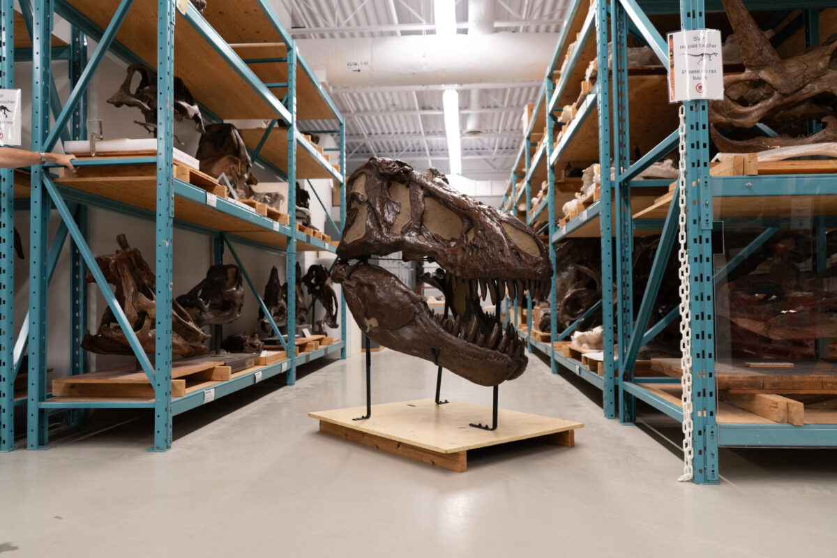 Canadian Museum of Nature