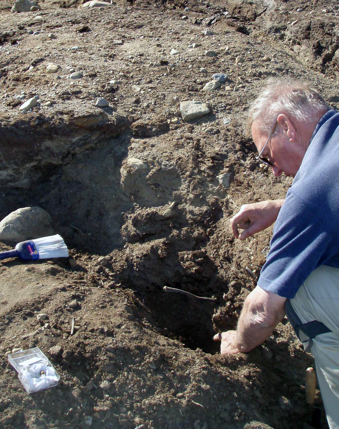 High Arctic fossils – from field to lab - Canadian Museum of Nature