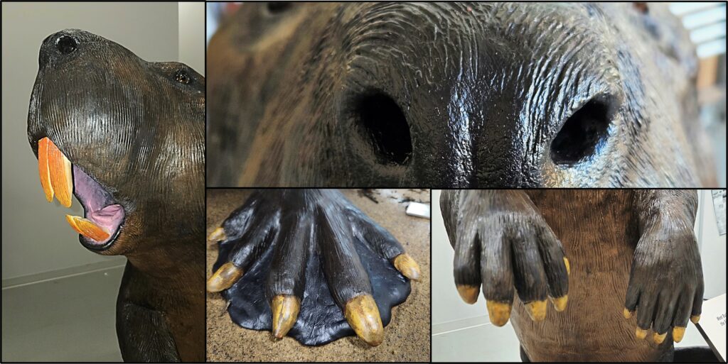 An Introduction to T. rex With Jordan Mallon, Dinosaur Palaeontologist ...