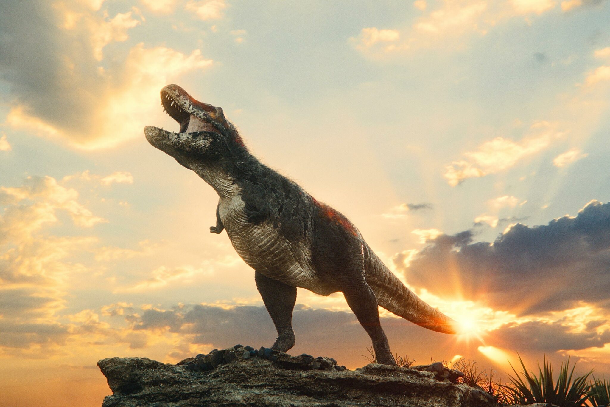 Dinosaurs - Canadian Museum of Nature