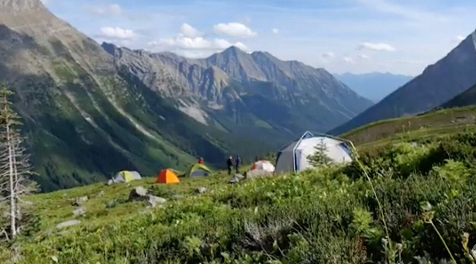 Fossil Riches of The Old Crow River - Canadian Museum of Nature