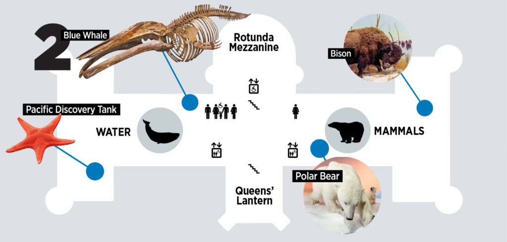 Museum Map - Canadian Museum of Nature