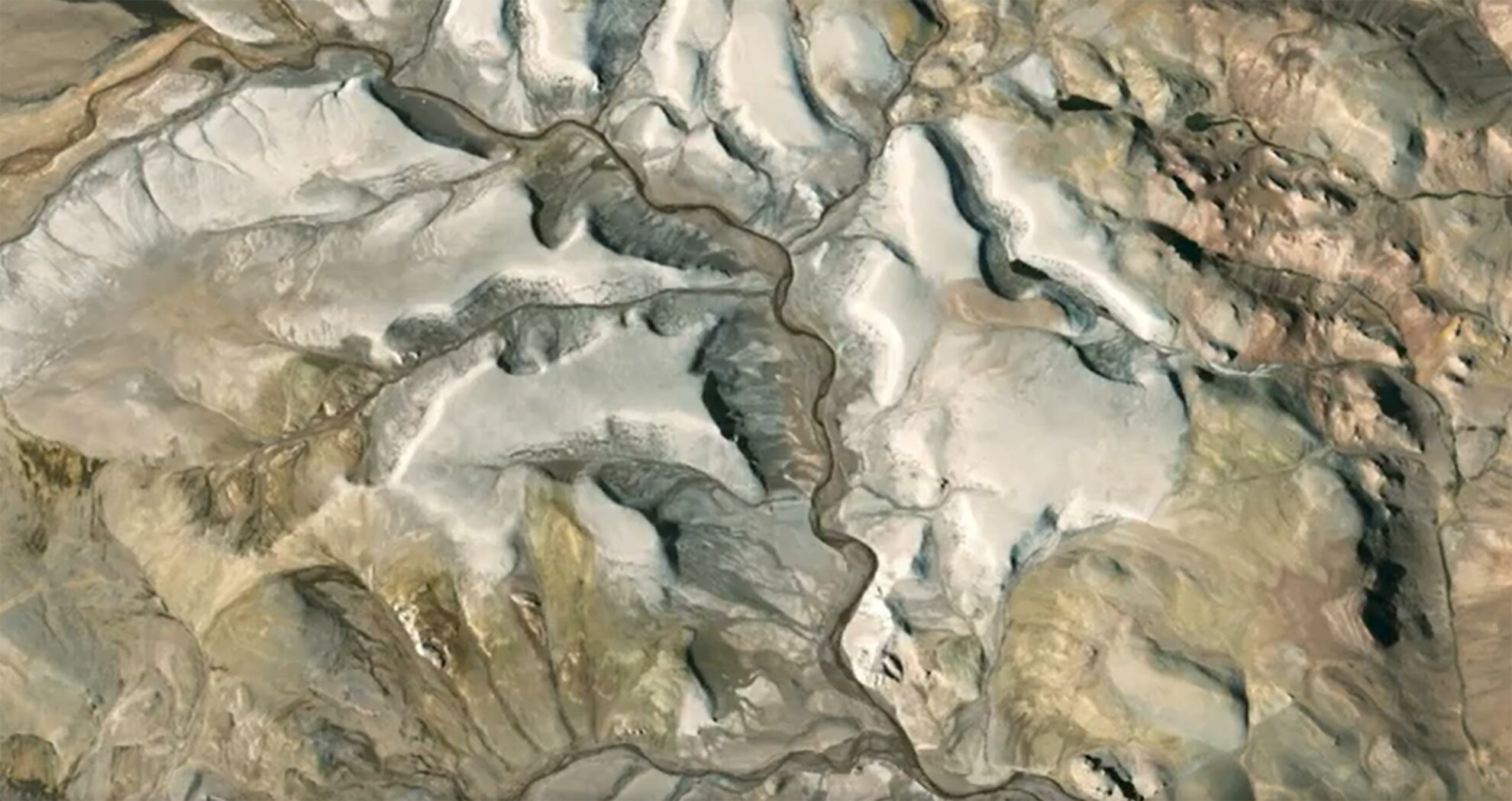 Wolf Evolution - Canadian Museum of Nature