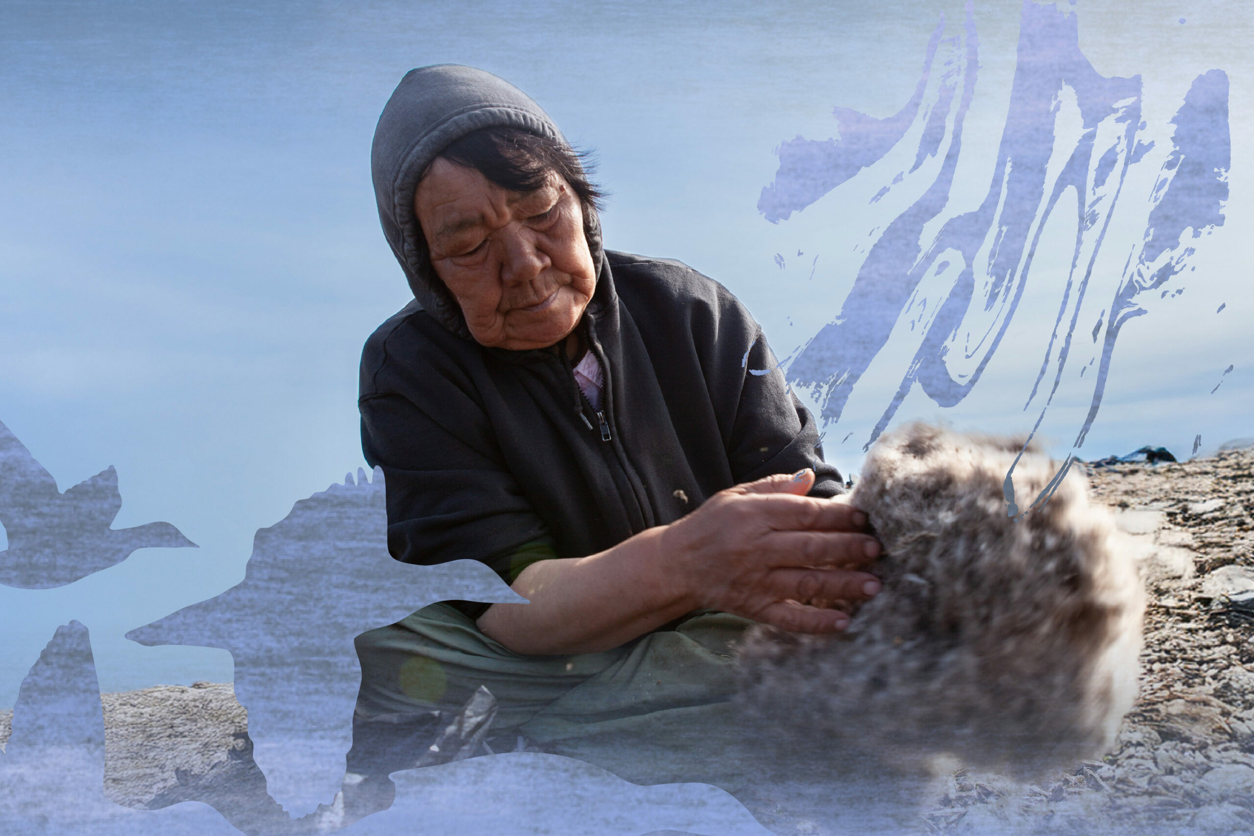 Qikiqtait ᕿᑭᖅᑕᐃᑦ - Canadian Museum of Nature