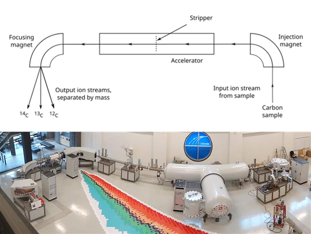 Fossil Clocks - Canadian Museum of Nature