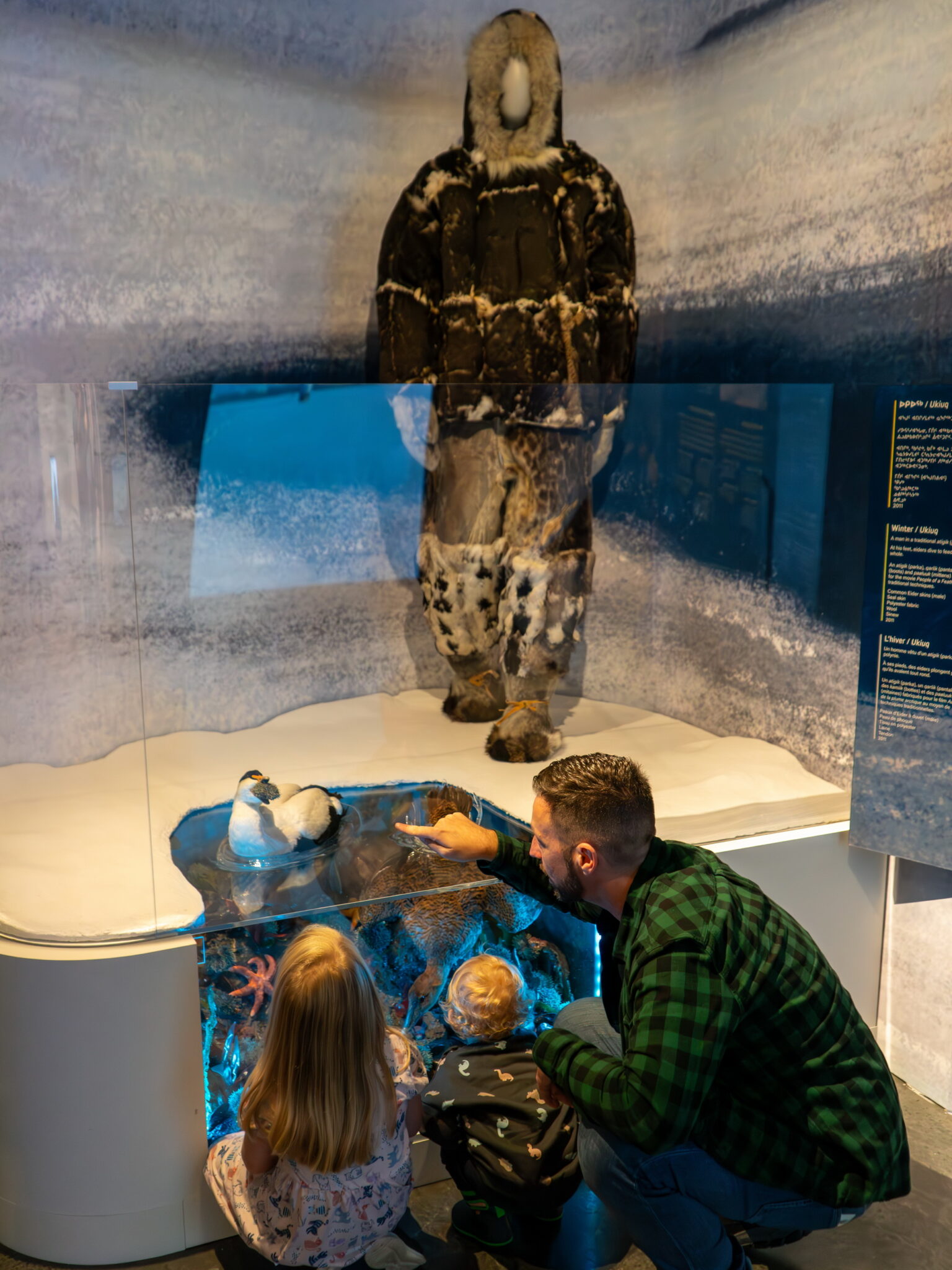 Qikiqtait : New exhibition - Canadian Museum of Nature