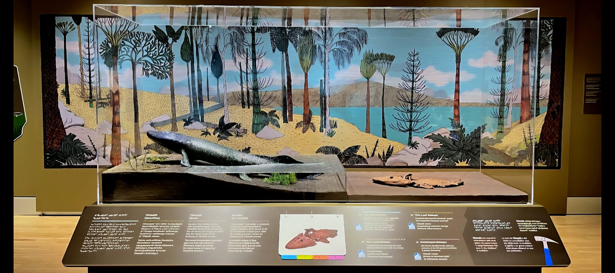 About Us - Canadian Museum of Nature