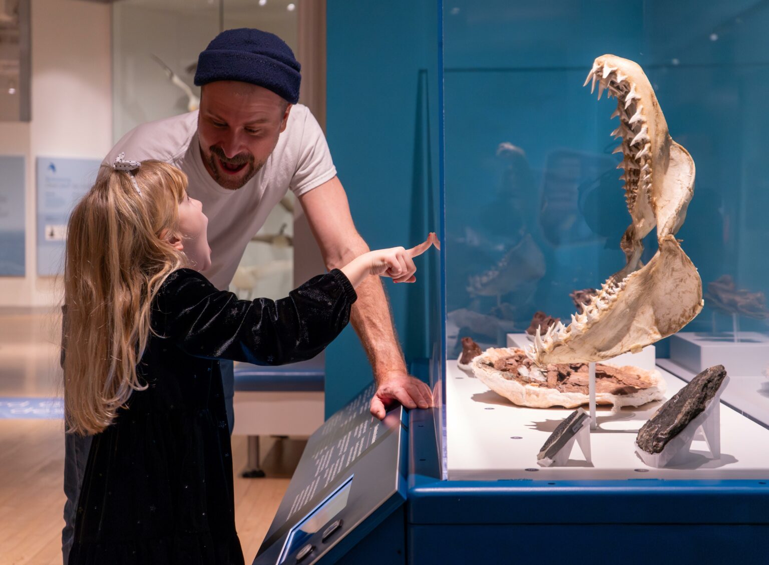 Life onto Land: The Devonian - Canadian Museum of Nature