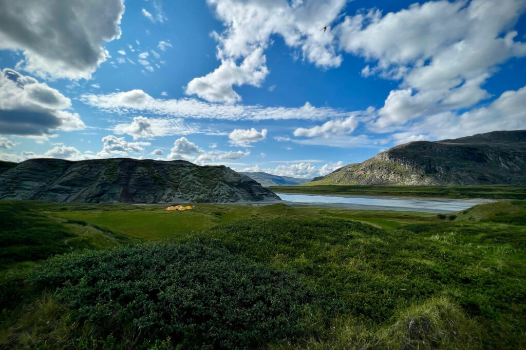 Arctic - Canadian Museum of Nature