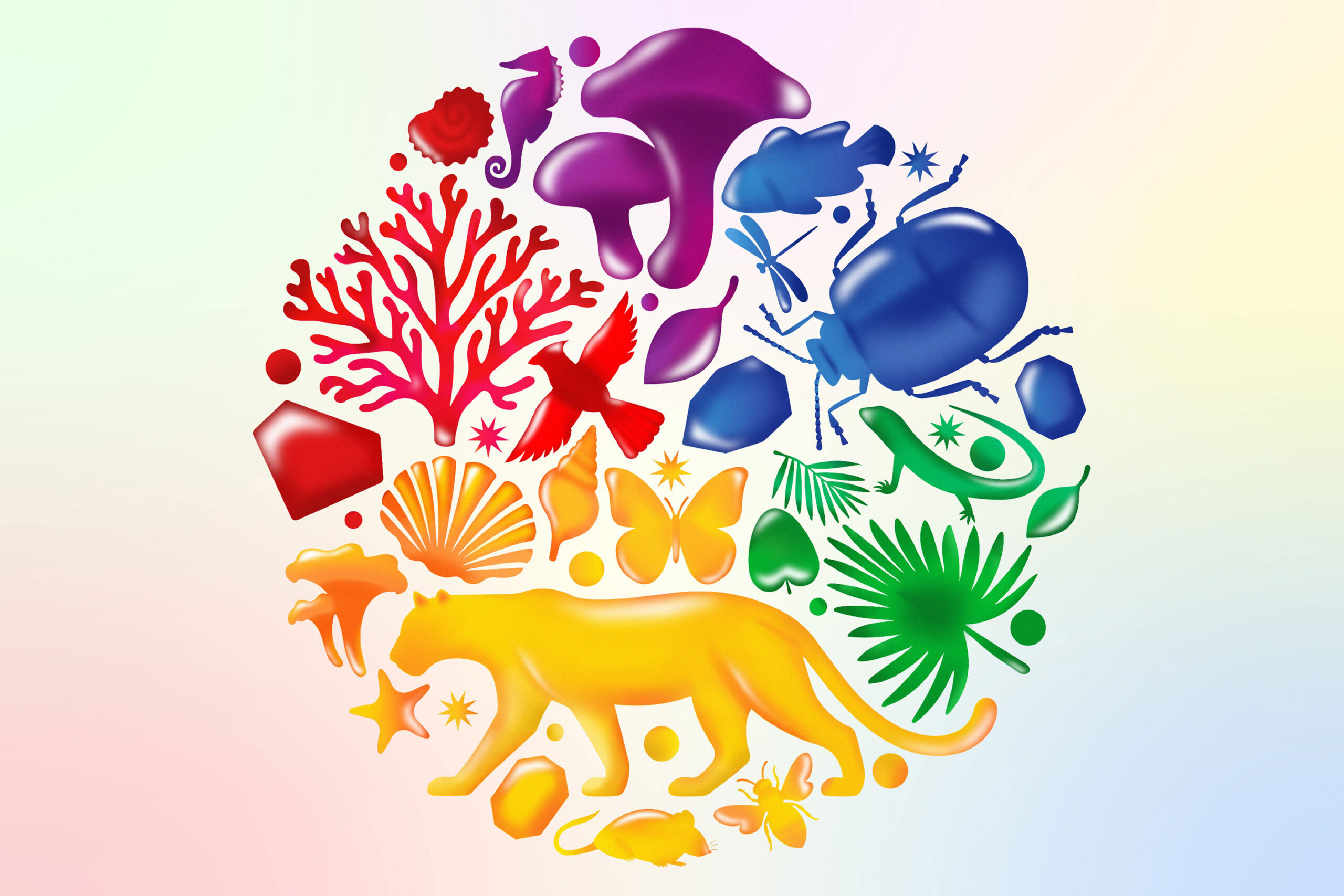 New exhibition: Wild Colour - Canadian Museum of Nature