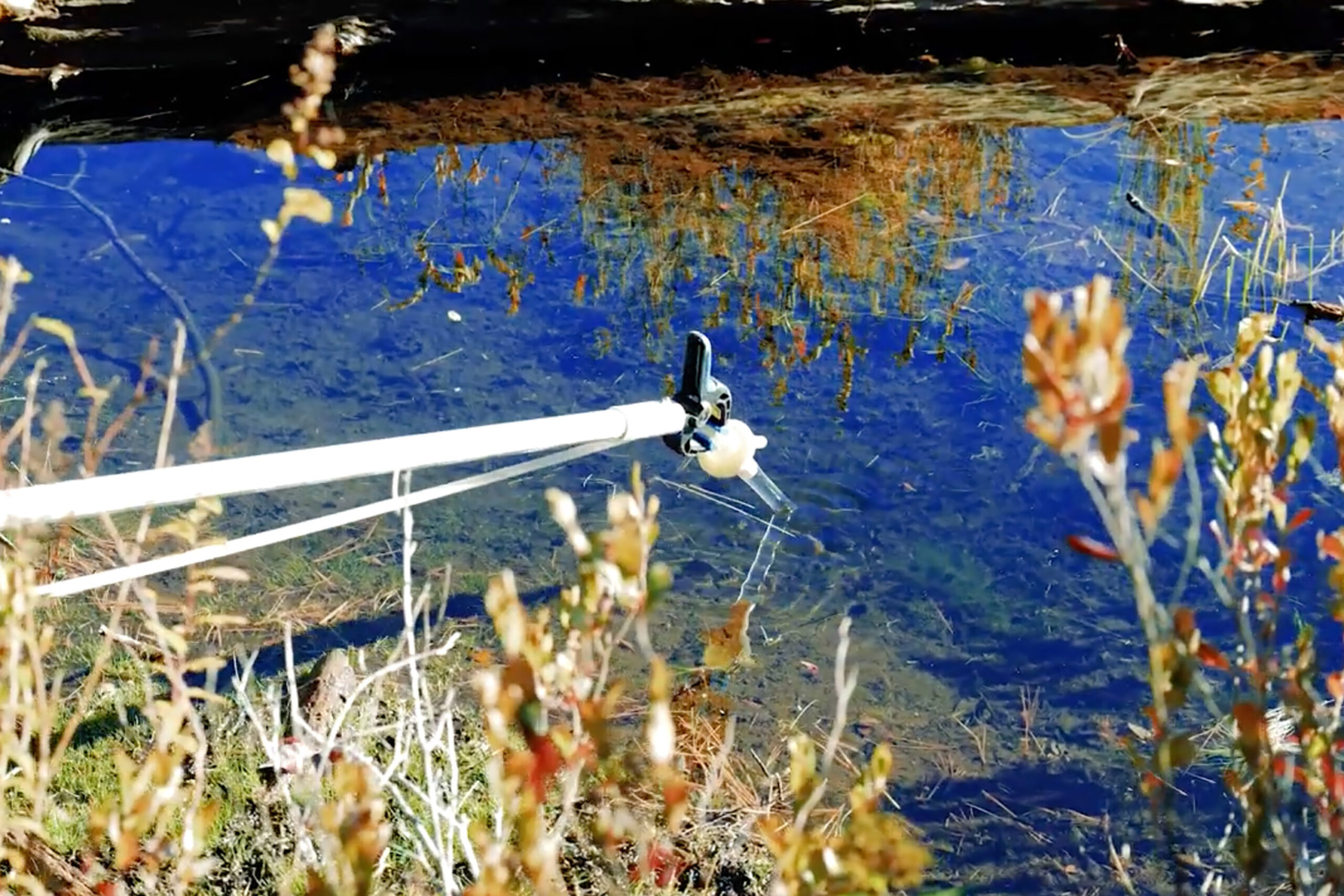 Sampling water for eDNA—a Supertool for Identifying Species in Lakes ...